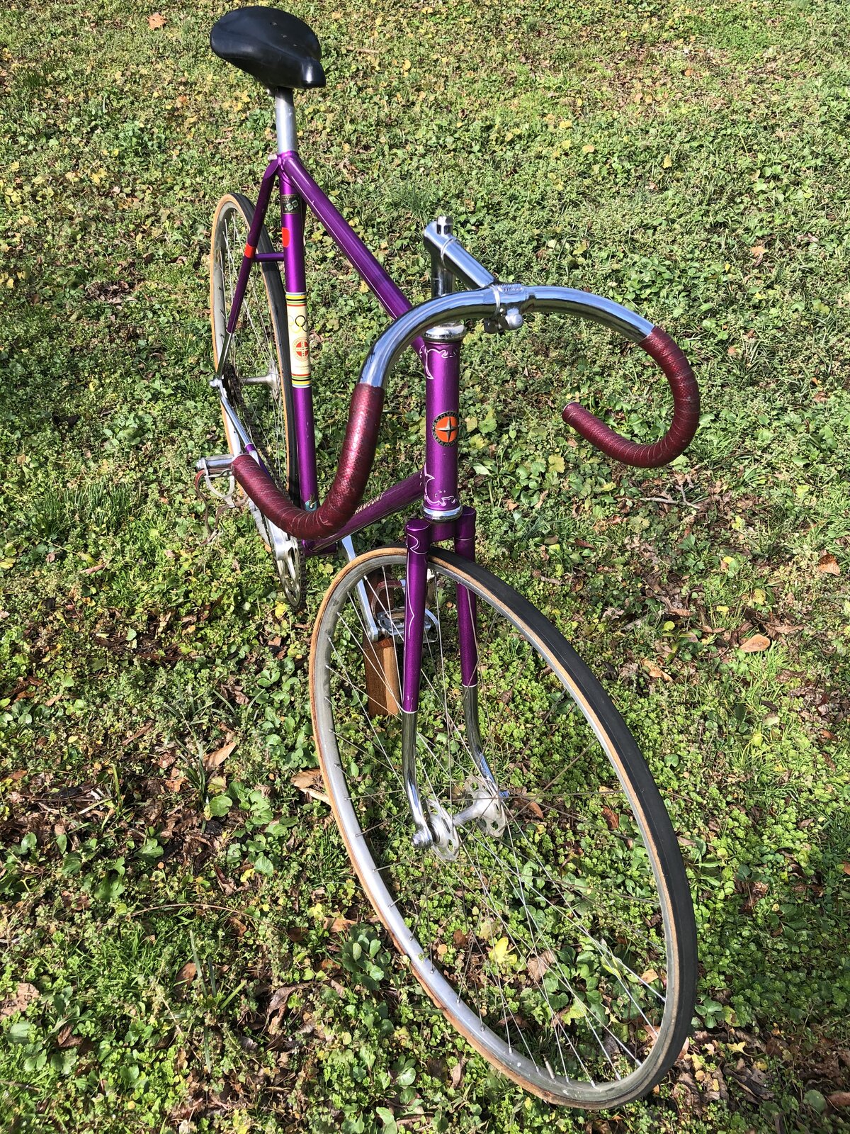 Violet Schwinns | All Things Schwinn | The Classic and Antique Bicycle ...
