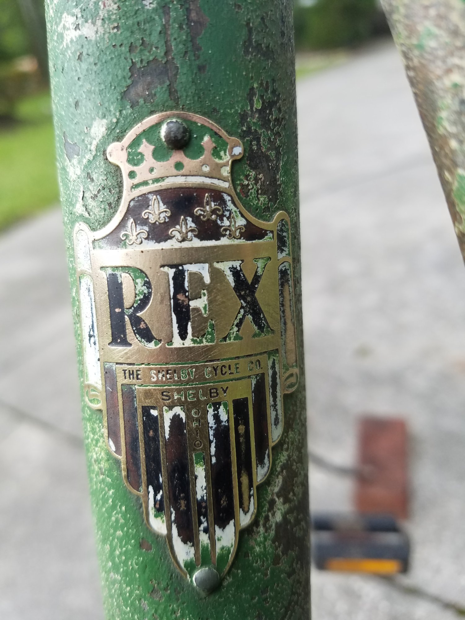 Sold - Rex by Shelby | Archive (sold or withdrawn) | The Classic and ...