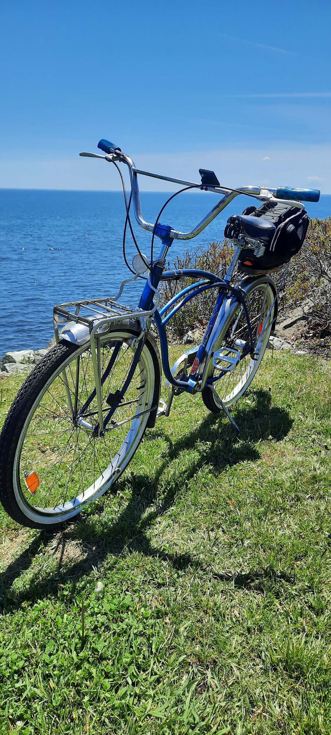 What bike did you ride today? | General Discussion About Old Bicycles ...
