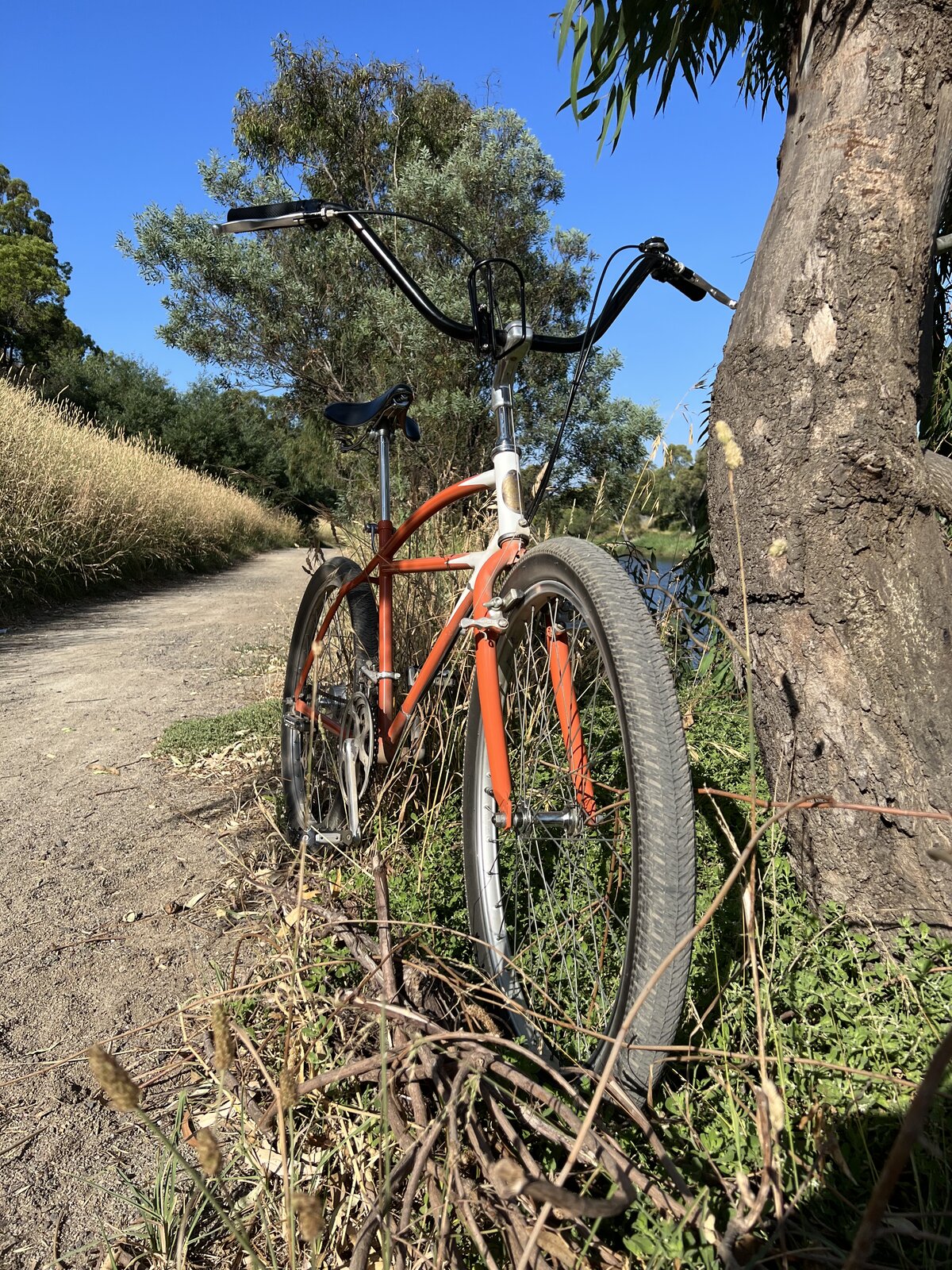 Let's see your BF Goodrich bikes | All Things Schwinn | Page 28 | The ...