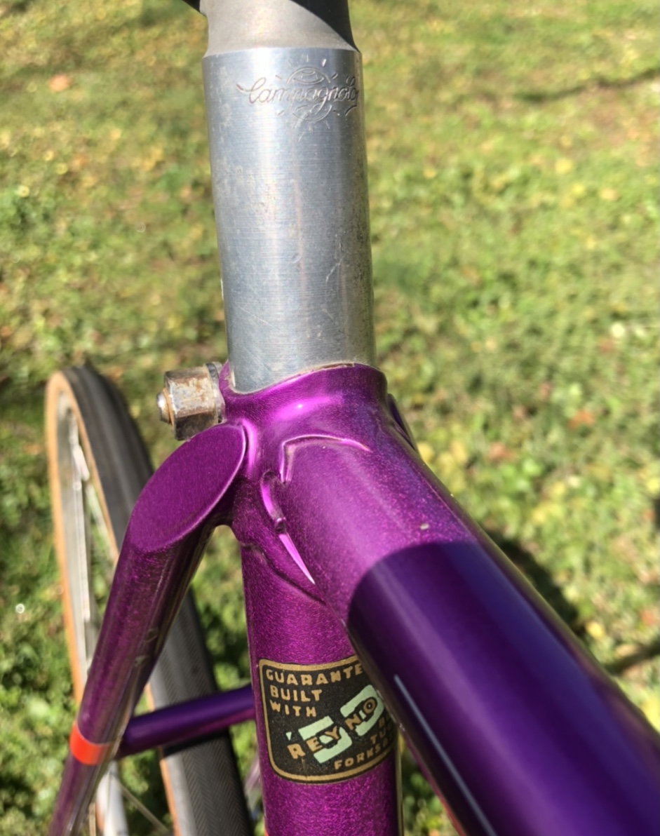 Violet Schwinns | All Things Schwinn | Page 5 | The Classic and Antique ...