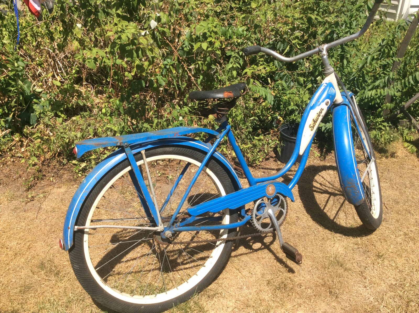 Schwinn tank balloon girls 50’s cruiser original | Sell - Trade ...
