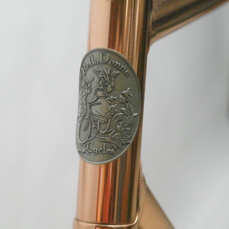 Custom Copper Plated Bicycle | Sell - Trade: Everything Else | The ...