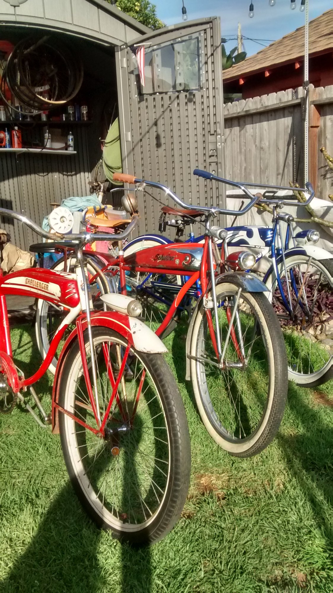 Let's see your BF Goodrich bikes | All Things Schwinn | Page 7 | The ...