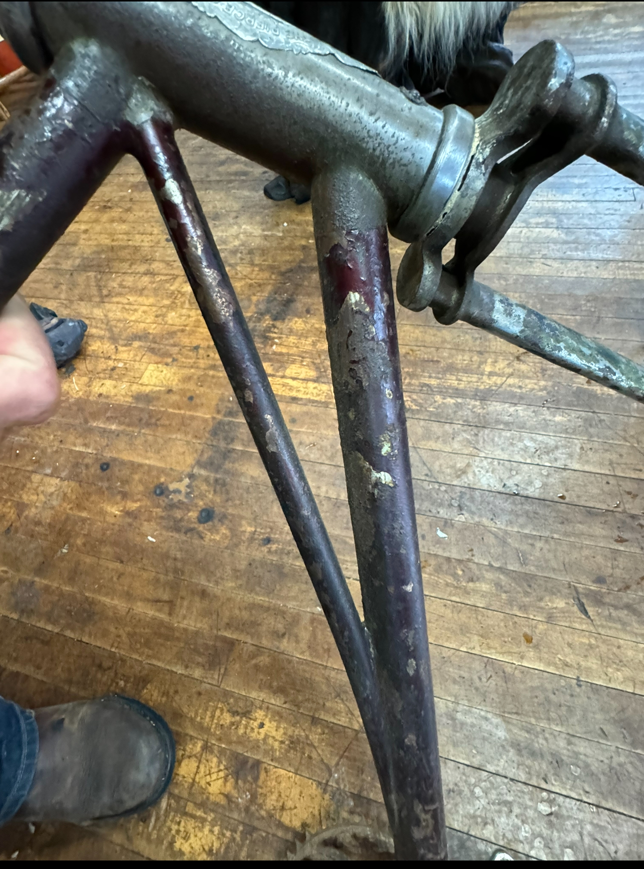 Pierce racer frame set | Sell - Trade: Bicycle Parts, Accessories ...