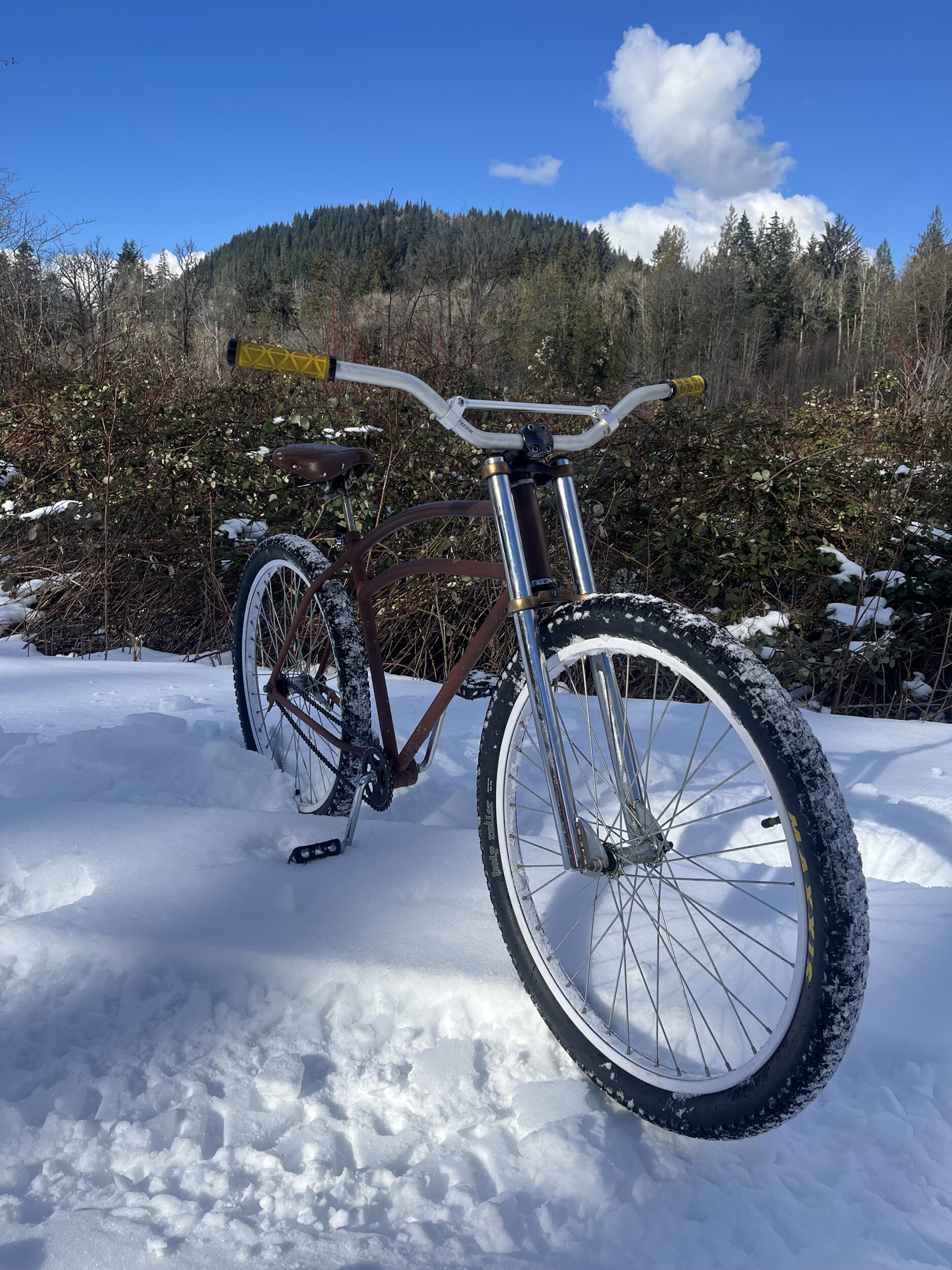 What bike did you ride today? | General Discussion About Old Bicycles ...