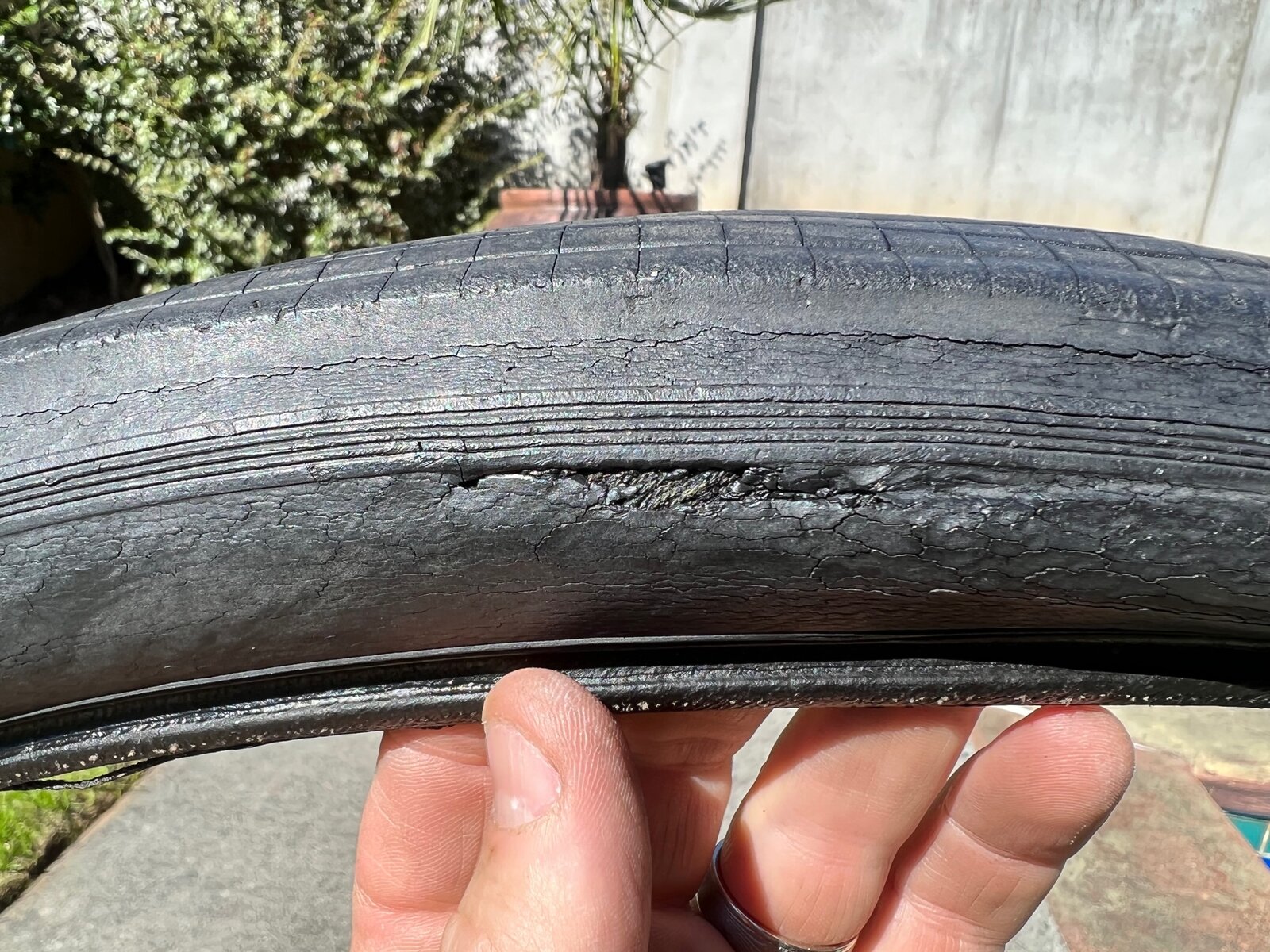 Prewar US Royal Master Centipede Grip Tires | Deal Or No Deal | The ...