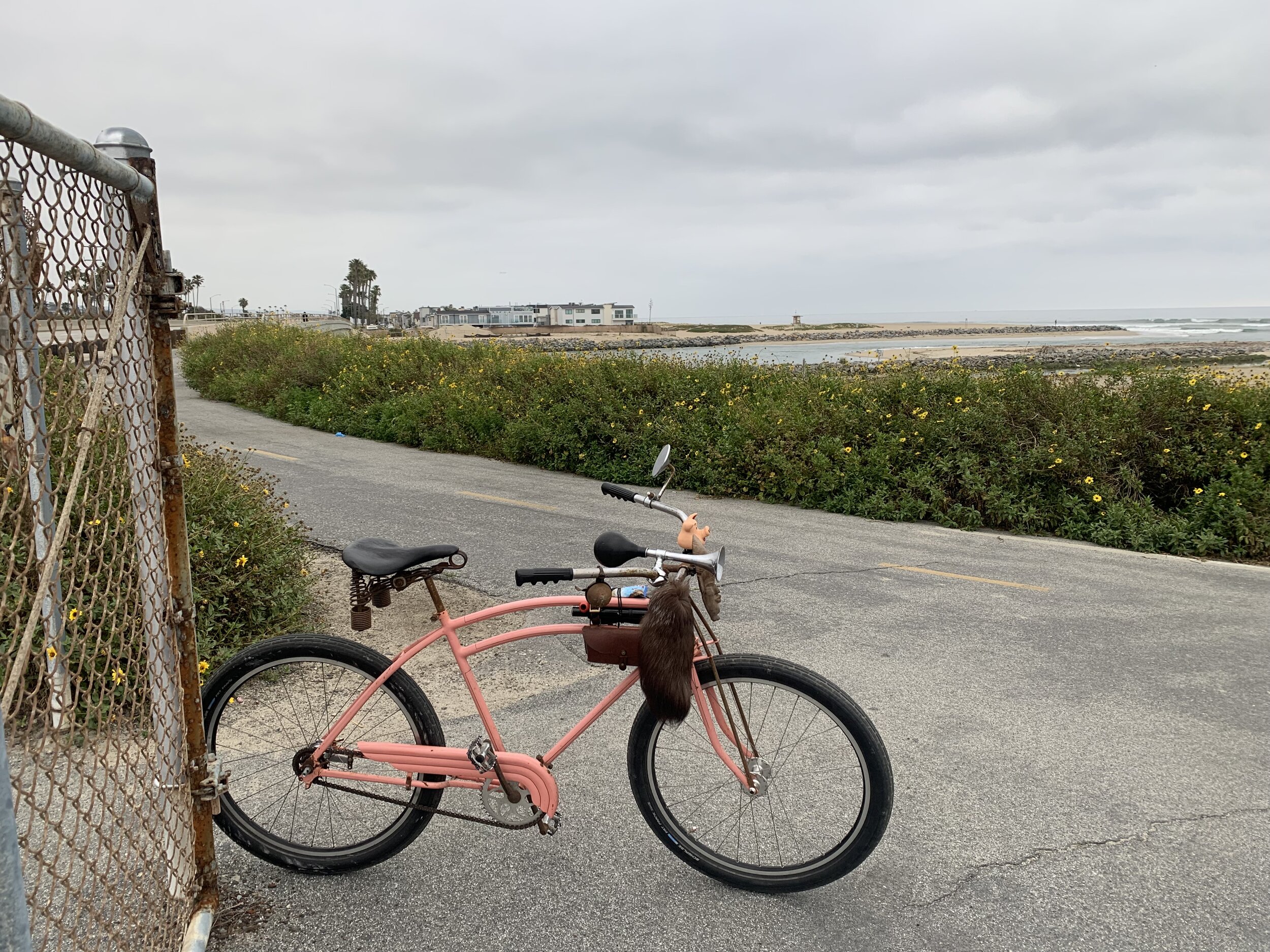 What bike did you ride today? | General Discussion About Old Bicycles ...