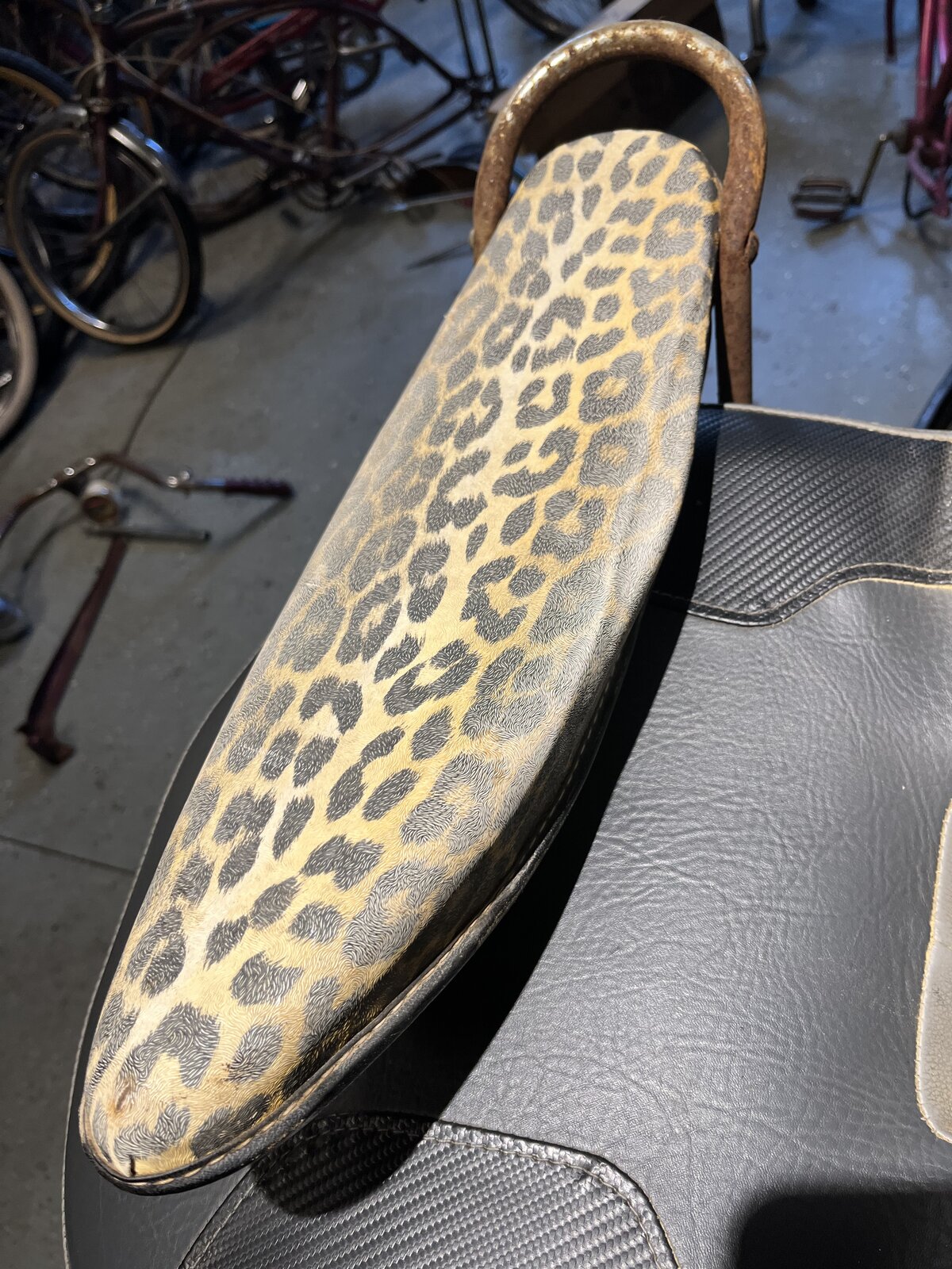 Sold - Leopard muscle seat with suspension, sissy bar | Archive (sold ...