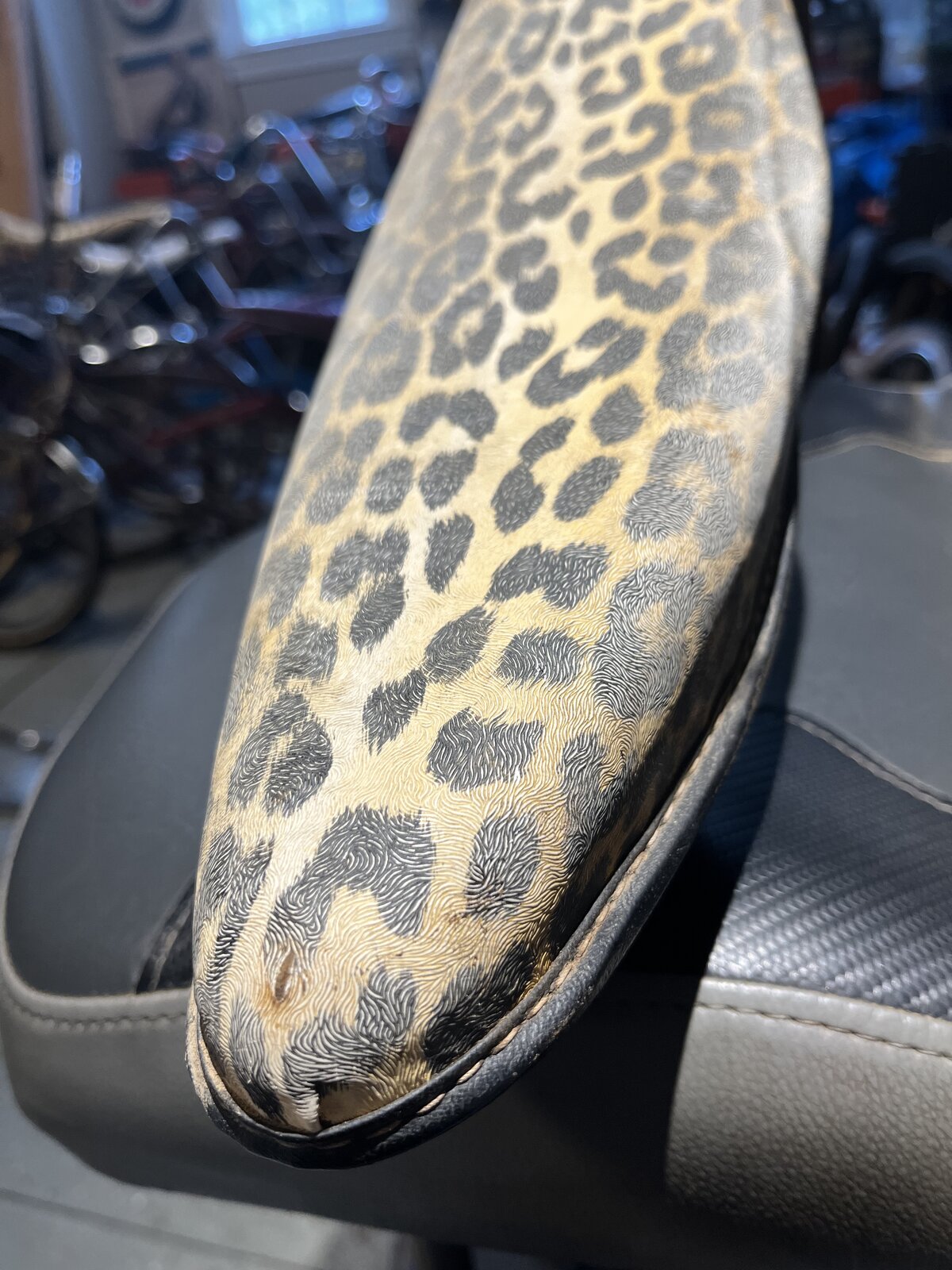 Sold - Leopard muscle seat with suspension, sissy bar | Archive (sold ...