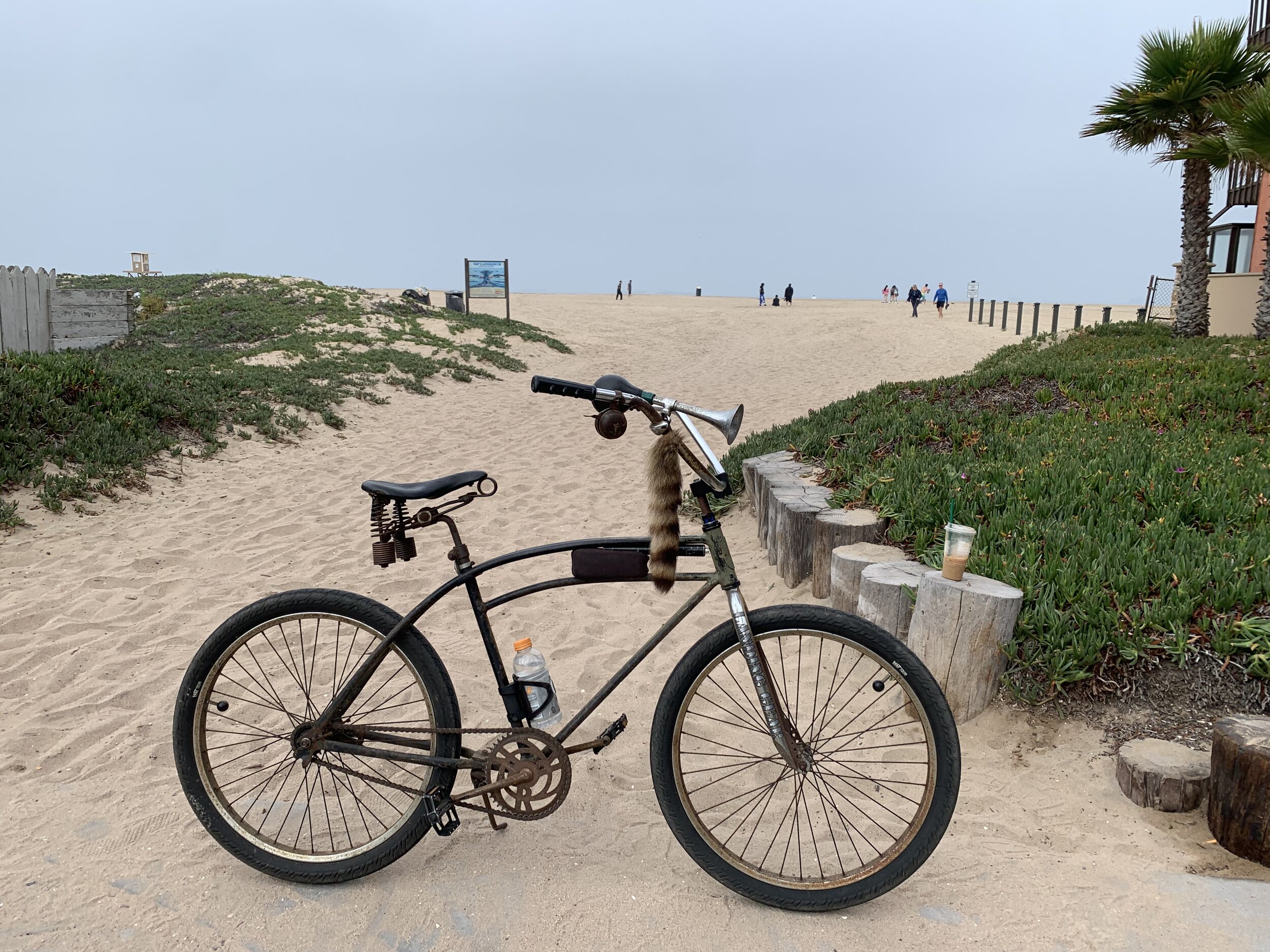 What bike did you ride today? | General Discussion About Old Bicycles ...