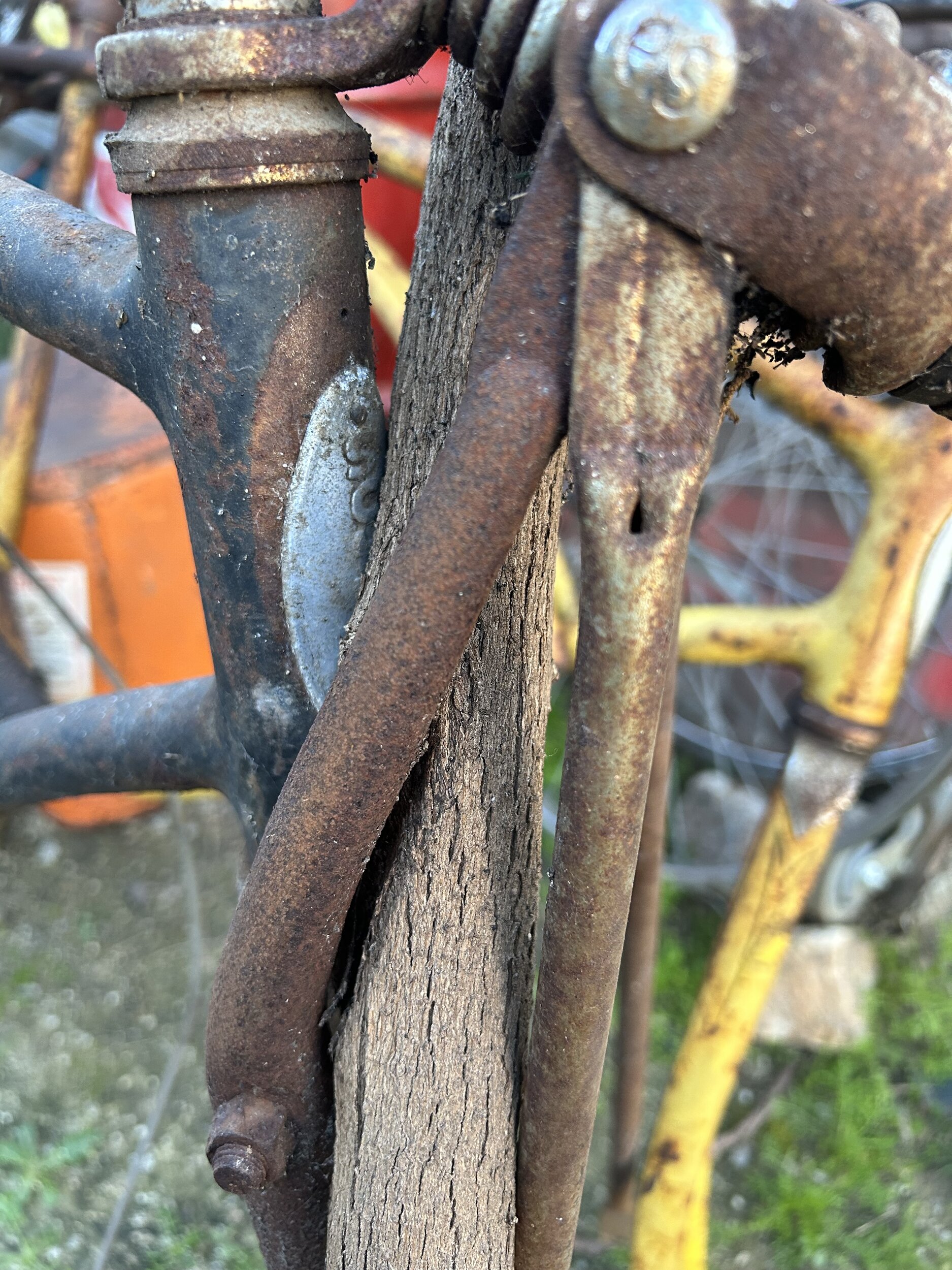 The worst condition bike you have ever bought. | General Discussion ...