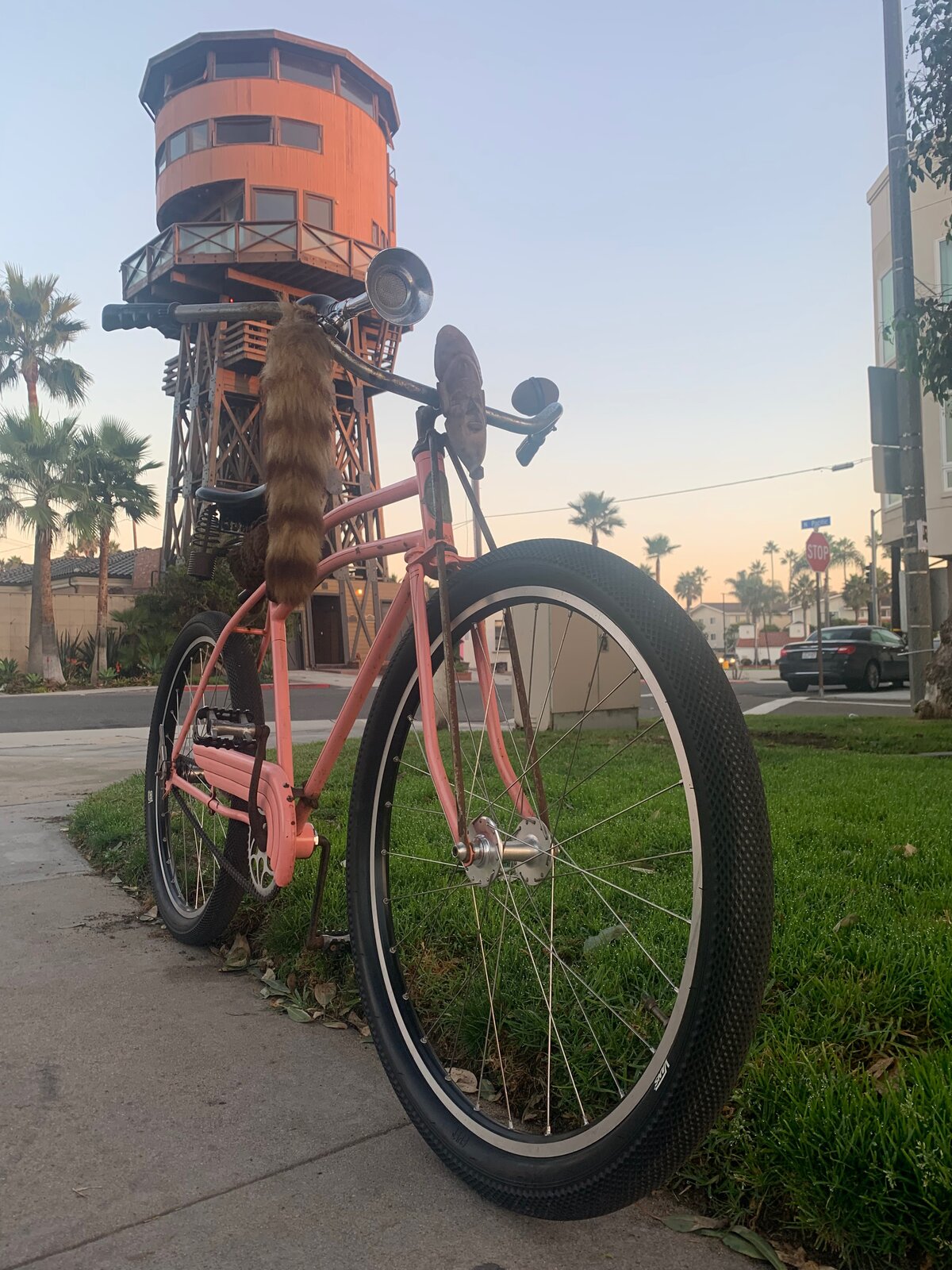 What bike did you ride today? | General Discussion About Old Bicycles ...